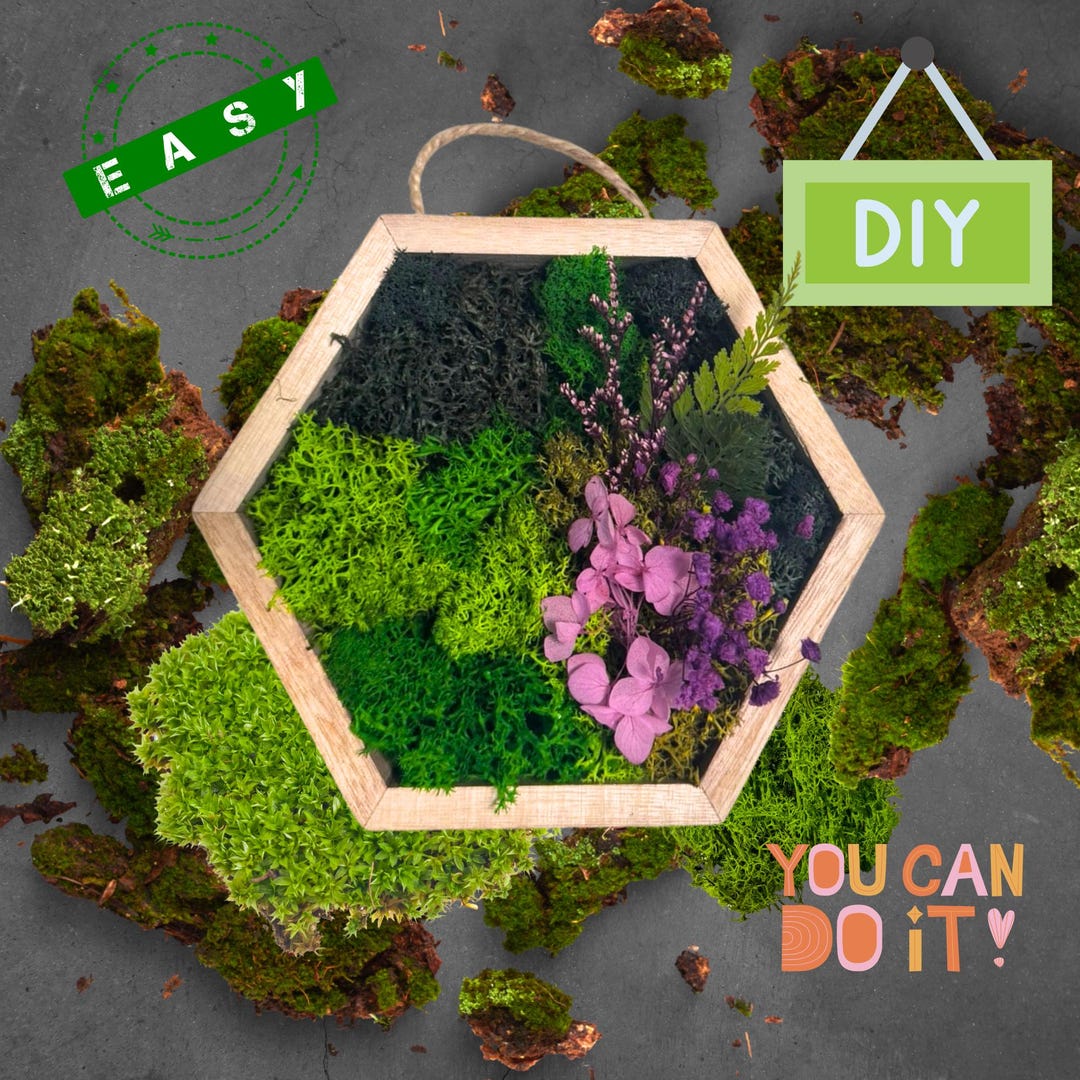 DIY Moss Art Kit – Easy Nature Craft | Hexagon Frame | Gift for Her or ...