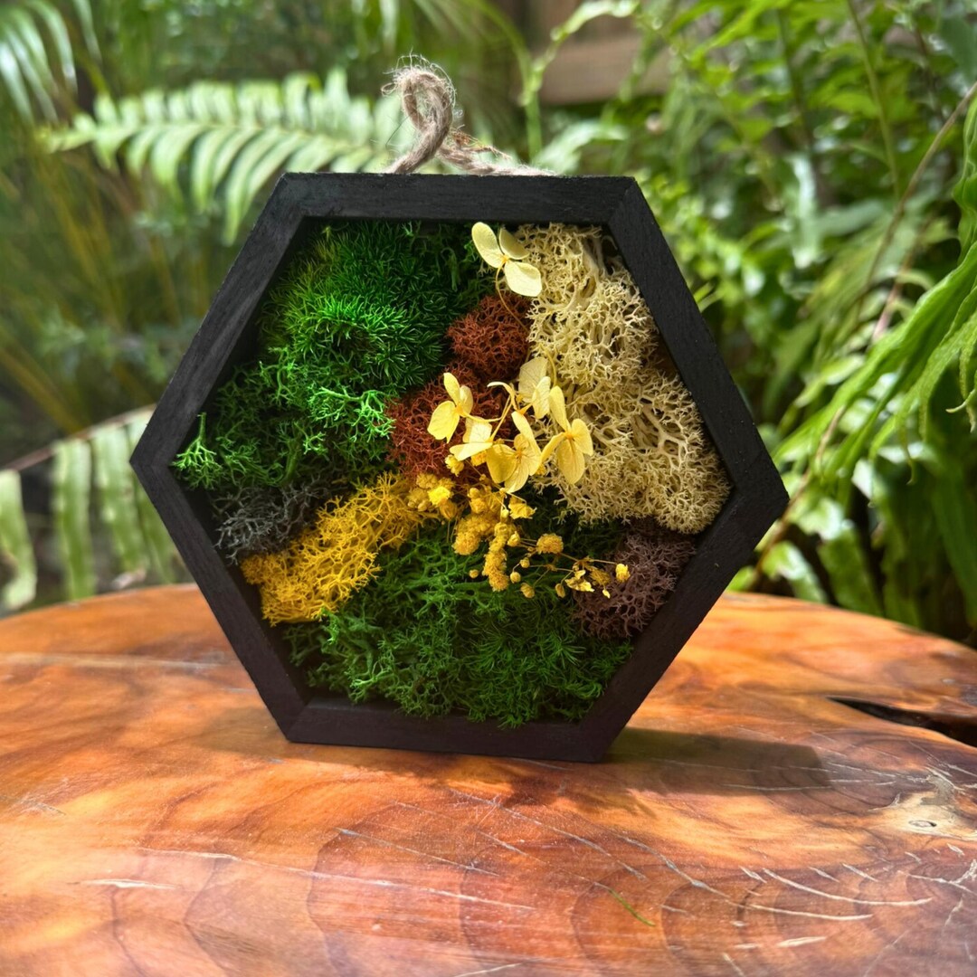 Mini Hexagon Moss Art – Yellow Preserved Moss Wall Decor | Small ...