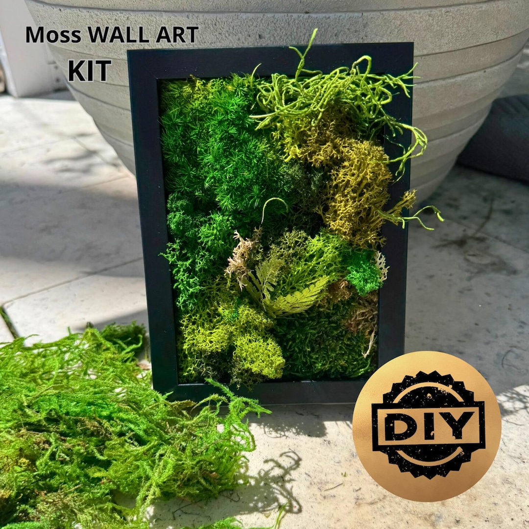 DIY Moss Wall Art Kit – Nature Craft Kit for Adults | Create Your Own ...