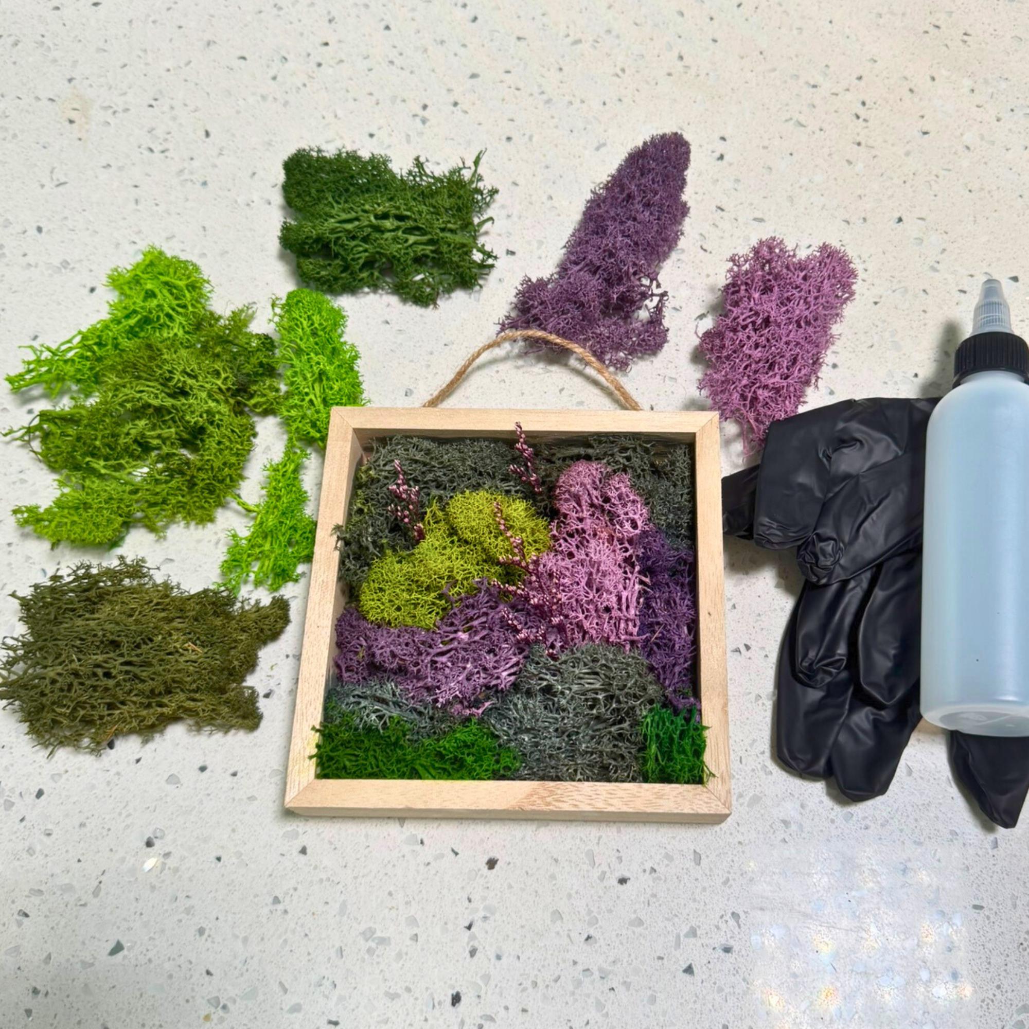 DIY Moss Art Kit – Easy Preserved Moss Frame Craft | Make Your Own ...