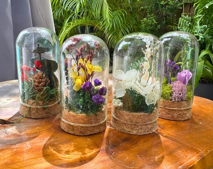 Tiny Glass Diorama / Waterfall Diorama / Bonsai / Cave / Japanese ...