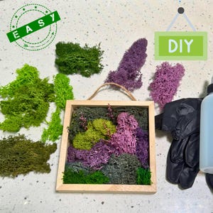 DIY Moss Art Kit – Unique Gift Box | Craft Kit for Her or Him | Nature ...