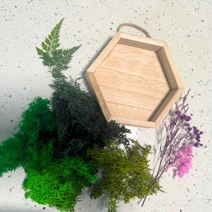 DIY Moss Art Kit – Unique Gift Box | Craft Kit for Her or Him | Nature ...