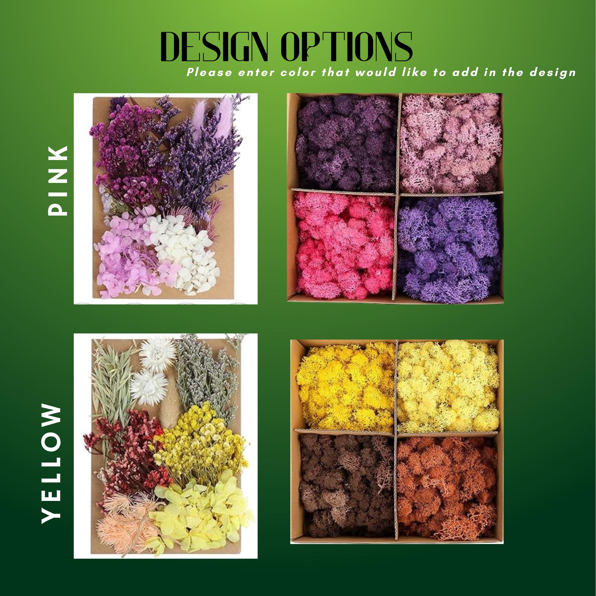 DIY Moss Art Kit – Easy Preserved Moss Frame Craft | Make Your Own ...