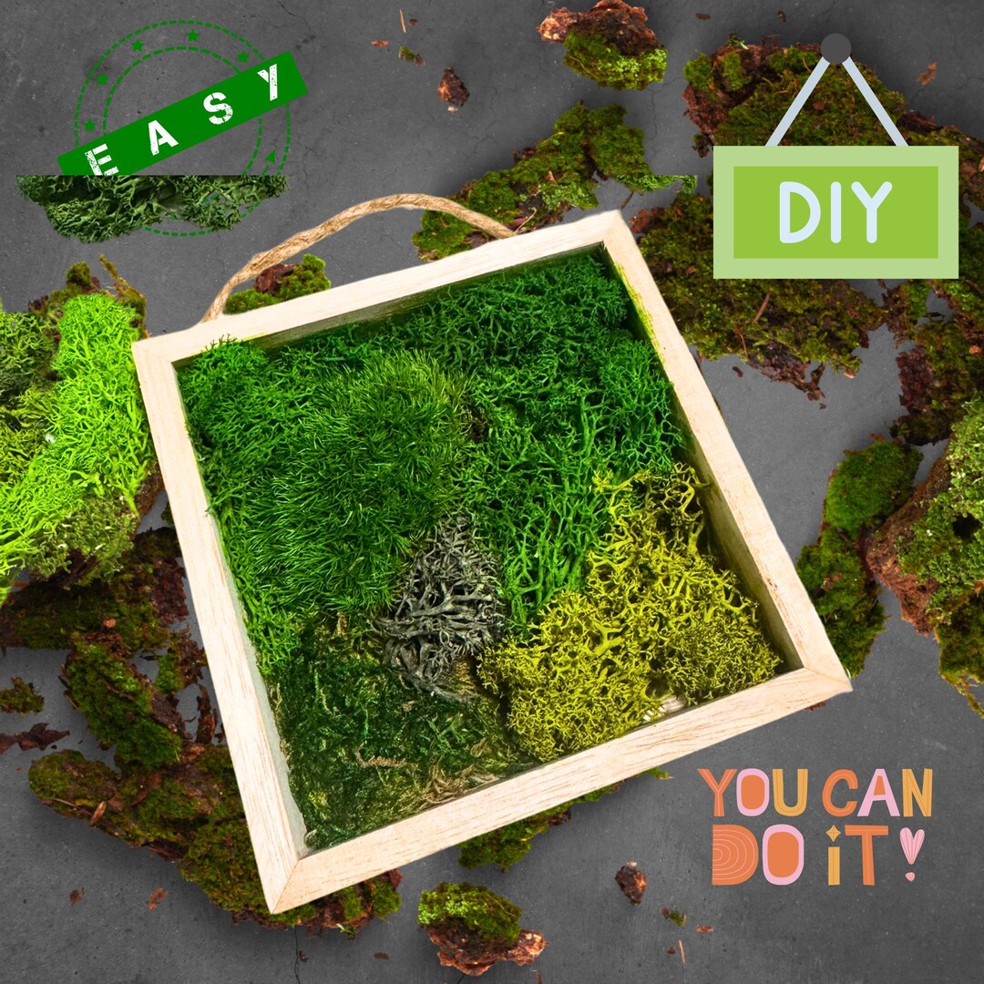 DIY Moss Art Kit – Easy Preserved Moss Frame Craft | Make Your Own ...
