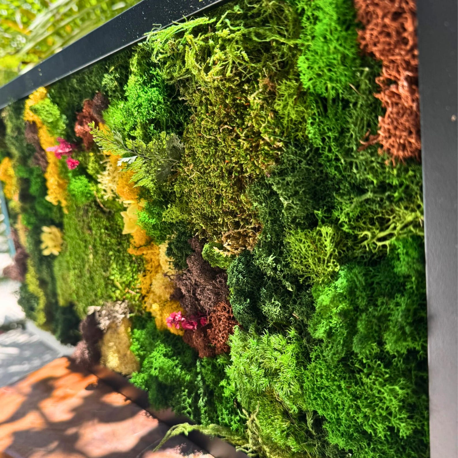 Vertical Moss Wall Art | Earthy Green Botanical Decor | Preserved Moss ...