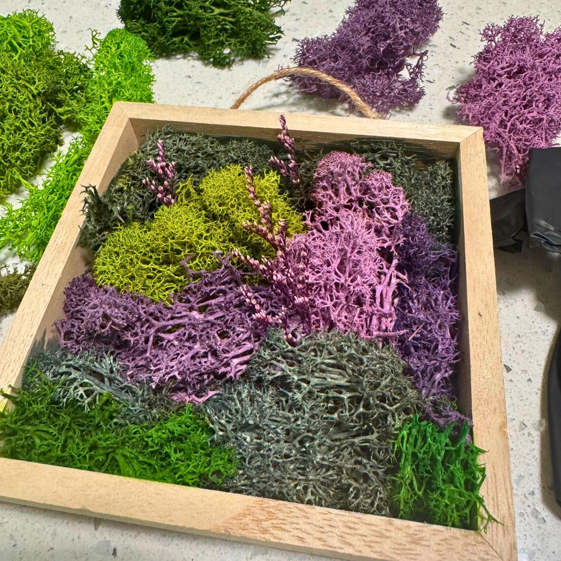 DIY Moss Art Kit – Easy Preserved Moss Frame Craft | Make Your Own ...