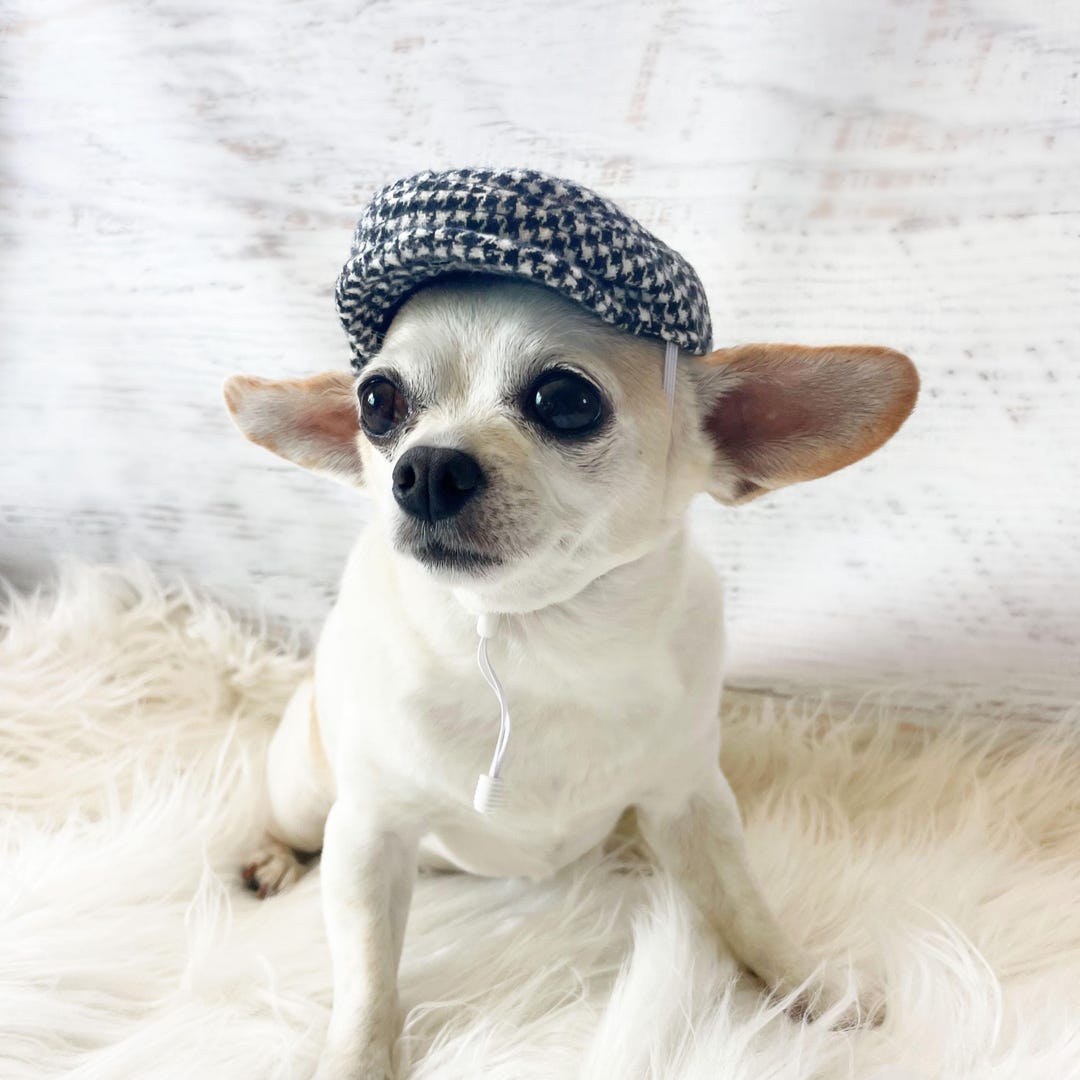Handmade Dog Newsboy Hat - Small Pet Fashion, USA Made - Etsy