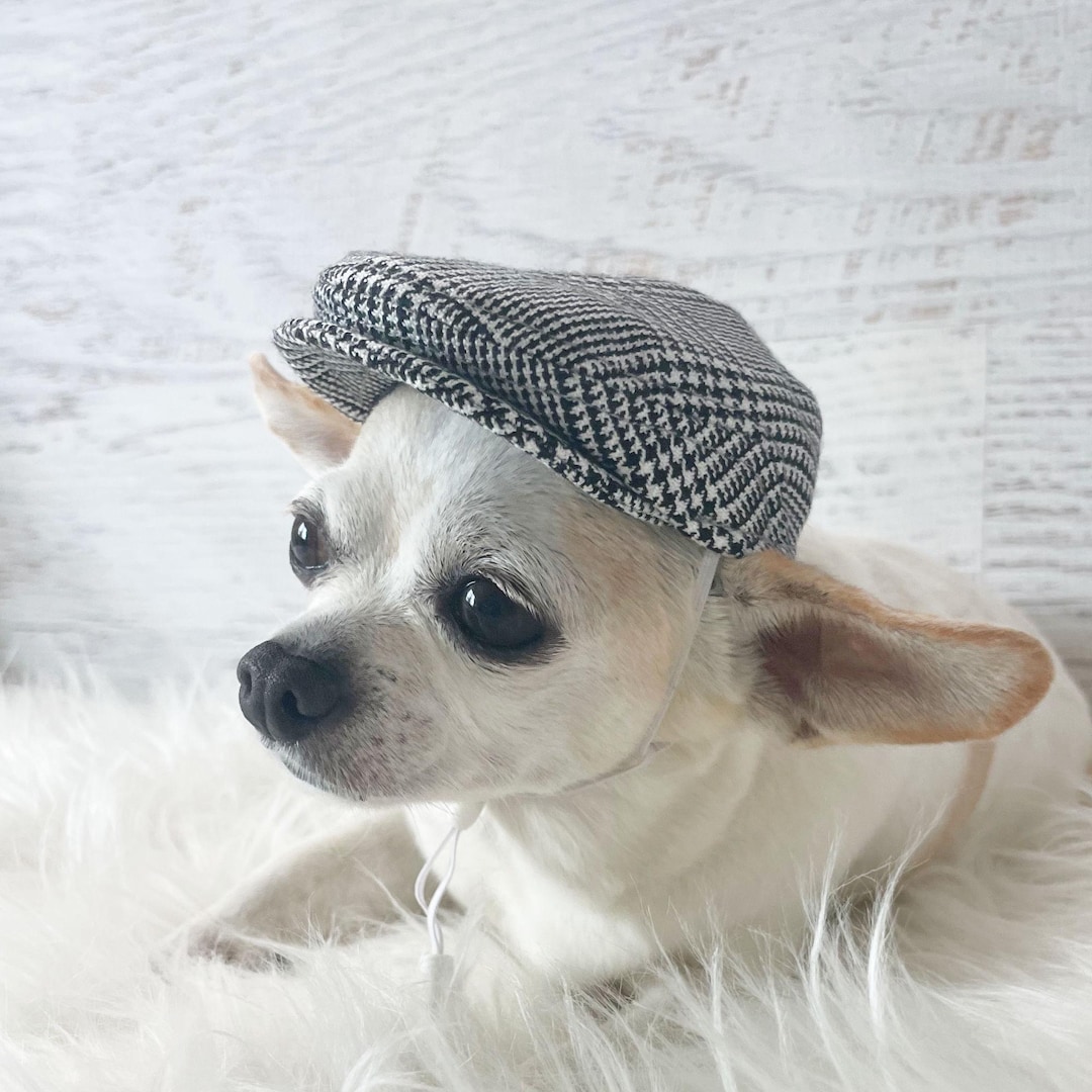 Small Dog Flat Cap - Glen Check Wool Newsboy Hat for Puppy, Cat, Small ...