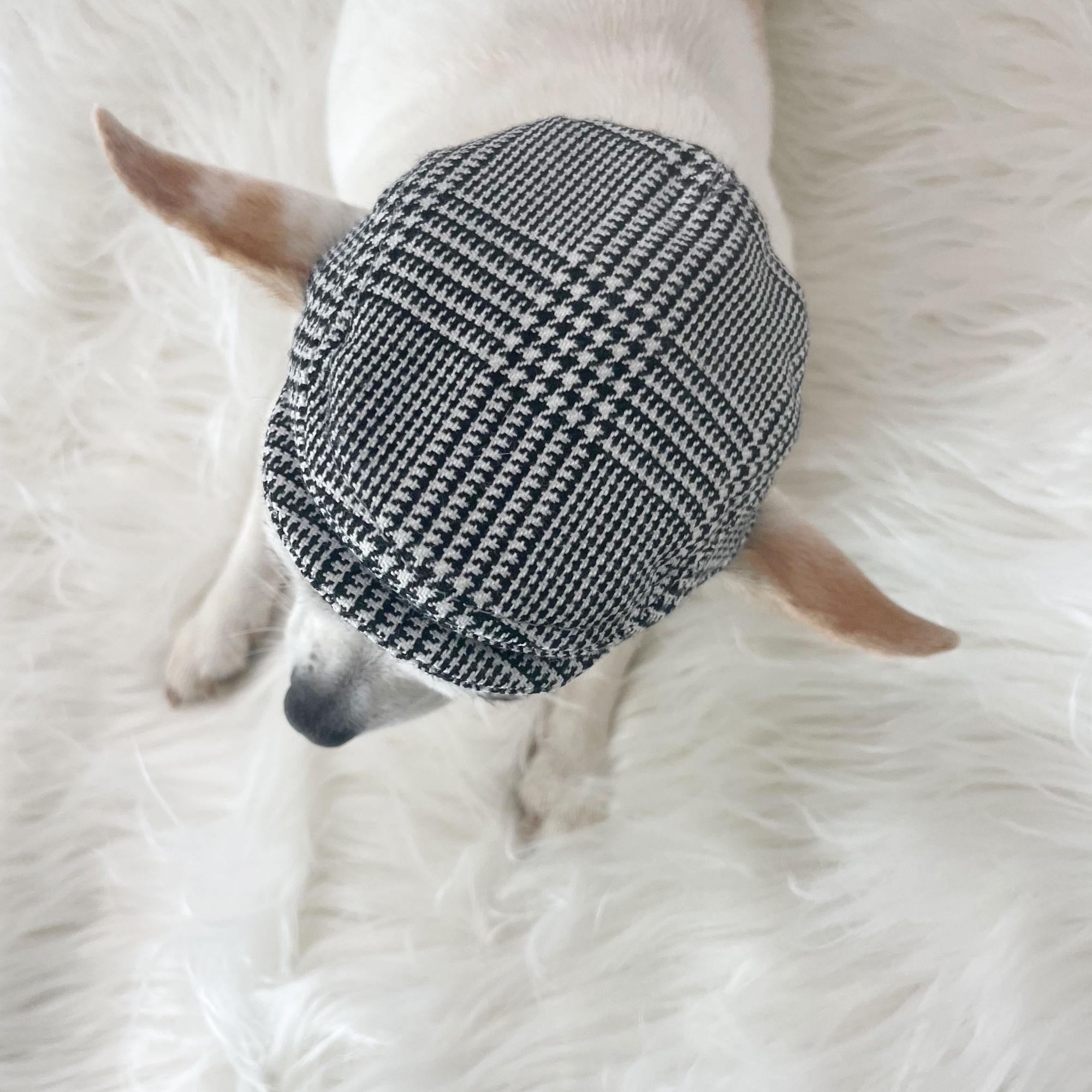 Small Dog Flat Cap - Glen Check Wool Newsboy Hat for Puppy, Cat, Small ...