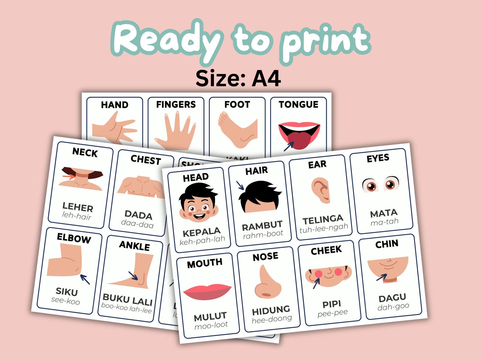 Learn Malay, 24 Malay Body Parts Cards, Montessori Flash Cards, Pre ...