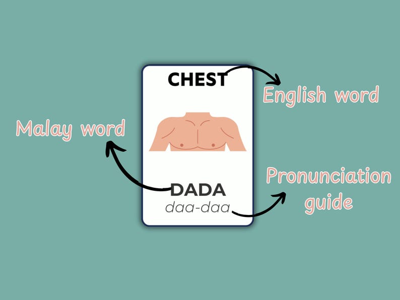 Learn Malay, 24 Malay Body Parts Cards, Montessori Flash Cards, Pre ...