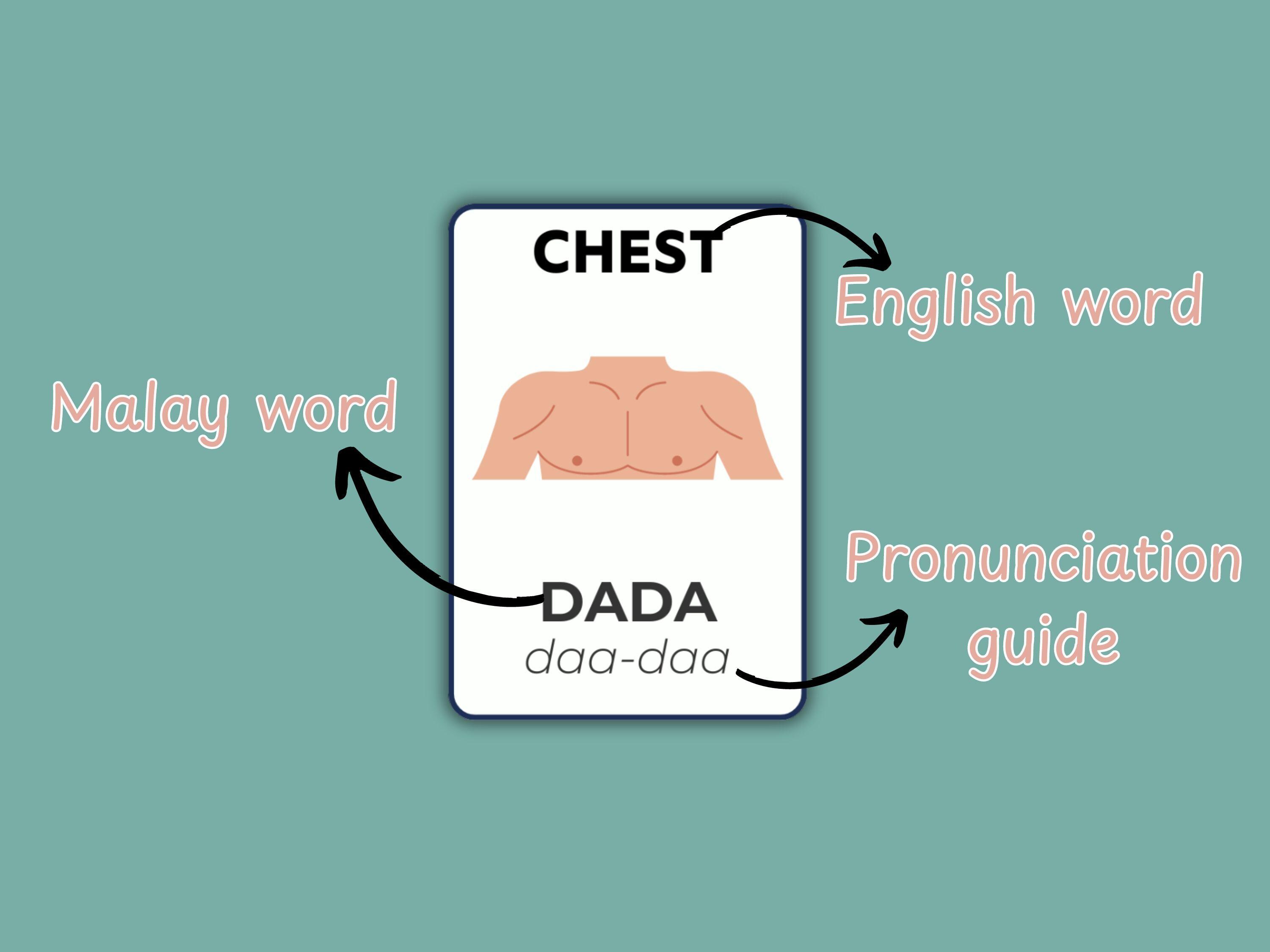 Learn Malay, 24 Malay Body Parts Cards, Montessori Flash Cards, Pre ...