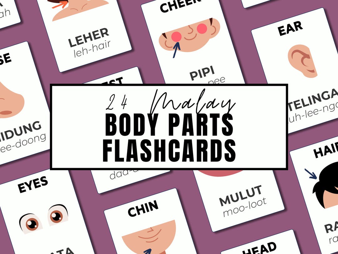 Malay Body Parts Flashcards for Kids | Learn Body Parts in Malay | A4 ...