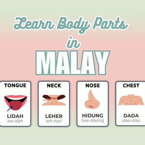Learn Malay, 24 Malay Body Parts Cards, Montessori Flash Cards, Pre ...