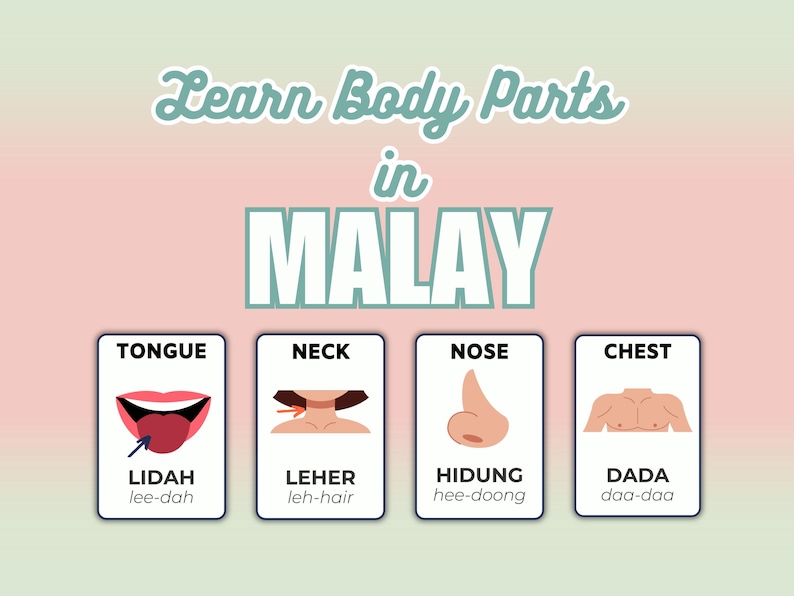 Learn Malay, 24 Malay Body Parts Cards, Montessori Flash Cards, Pre ...