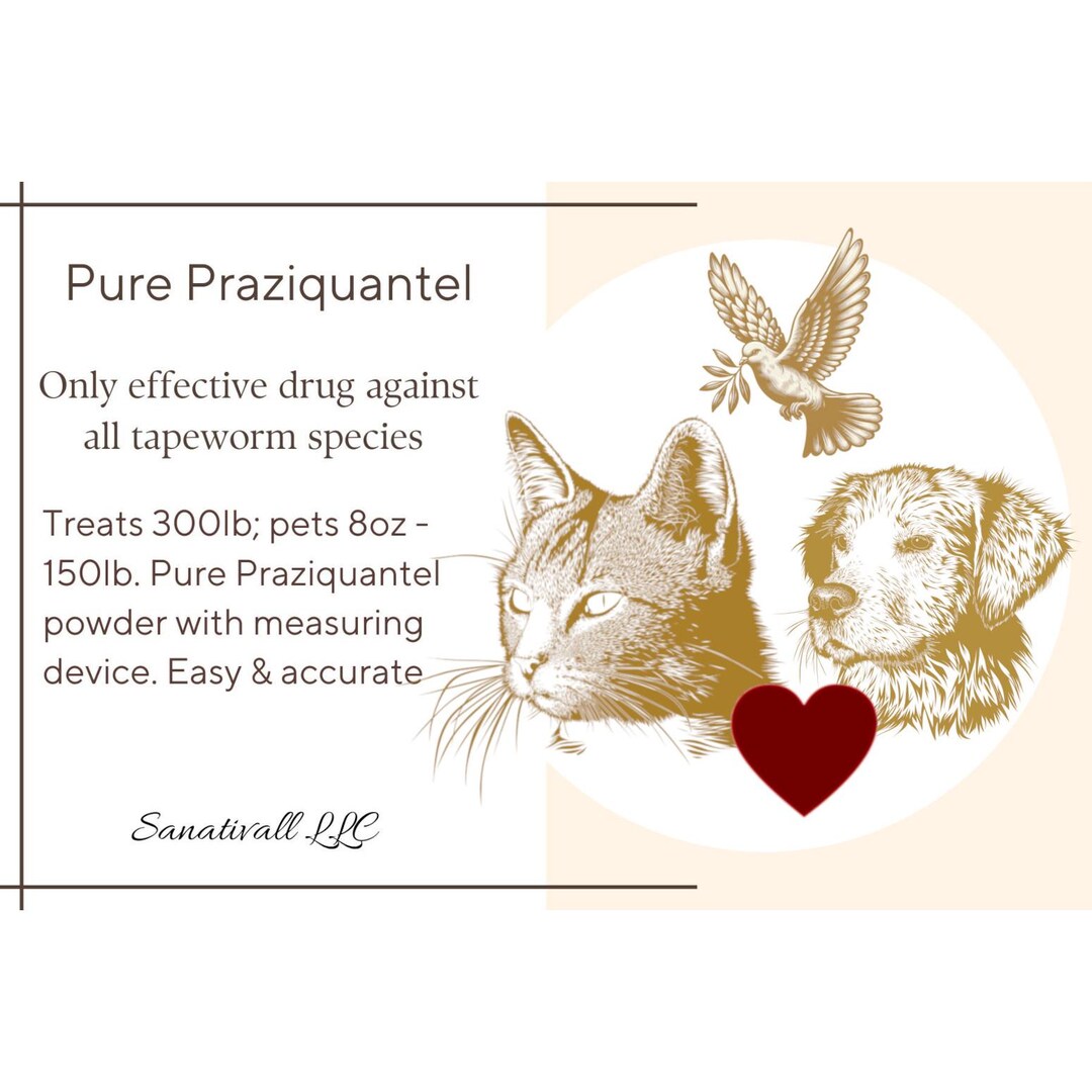 Pure Praziquantel Powder Tapeworm Dewormer for Pets - Etsy