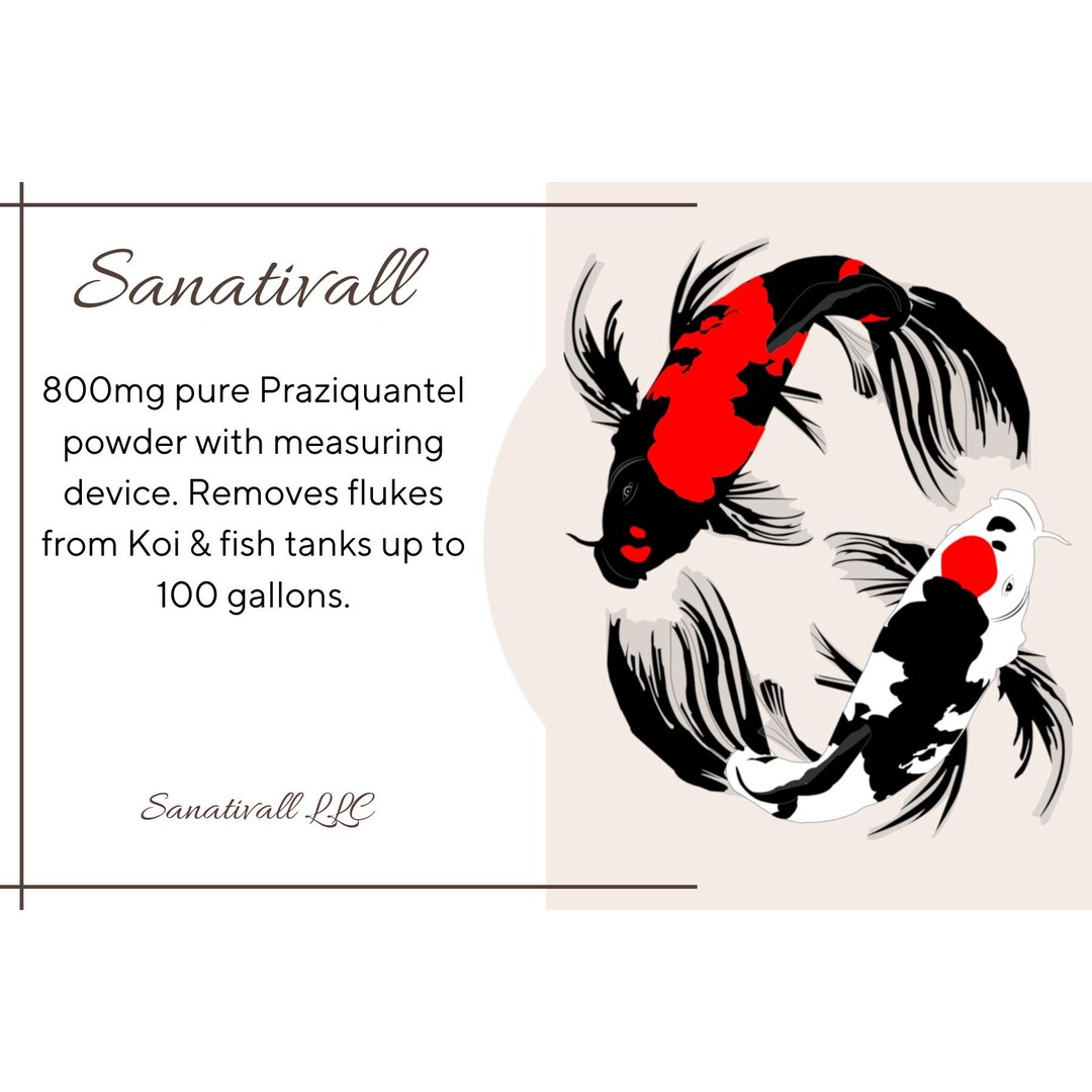 Pure Praziquantel Powder for Koi Fluke Treats 100 Gallons - Etsy