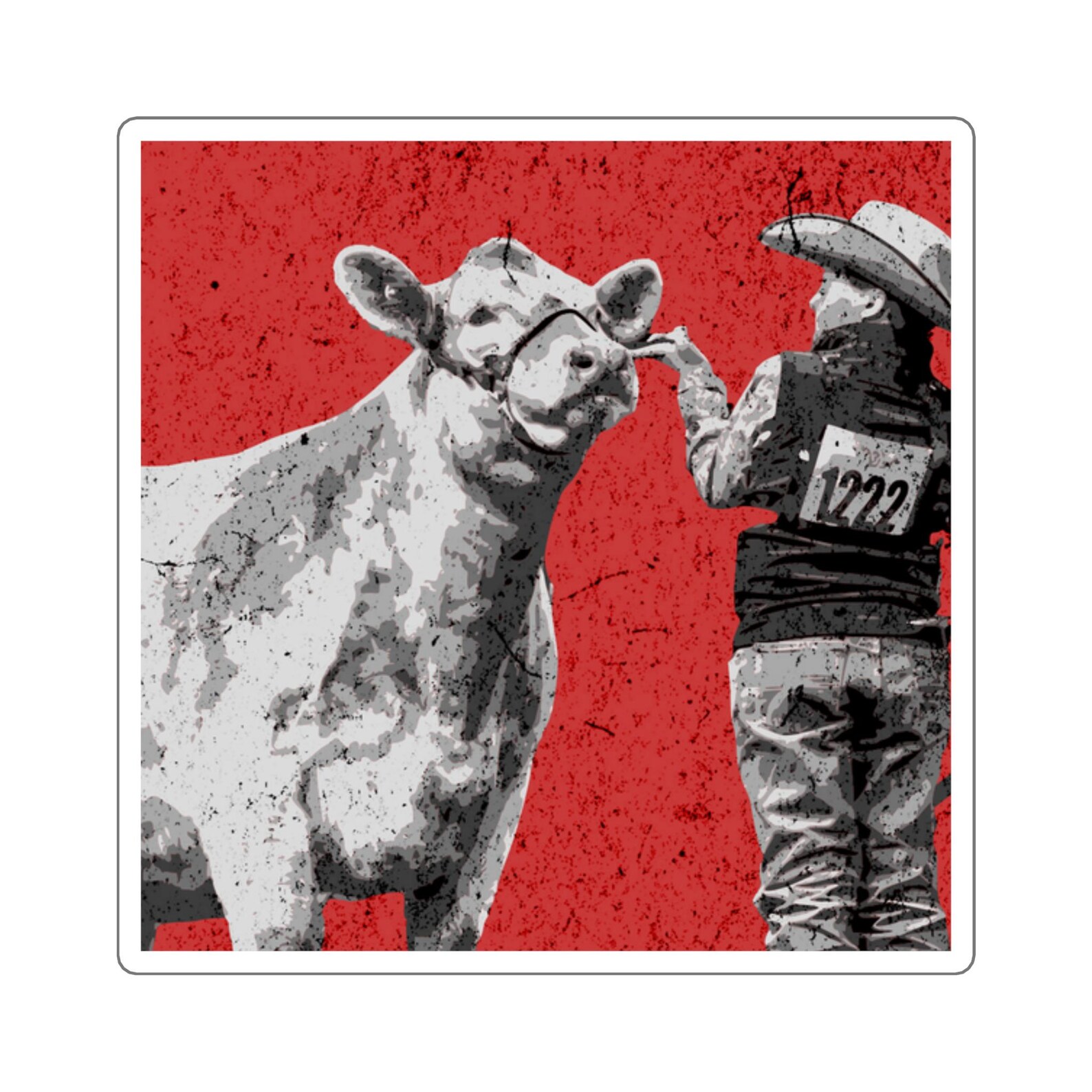 Custom Show Heifer Square Stickers - Stock Show Kid Gift, Agriculture ...