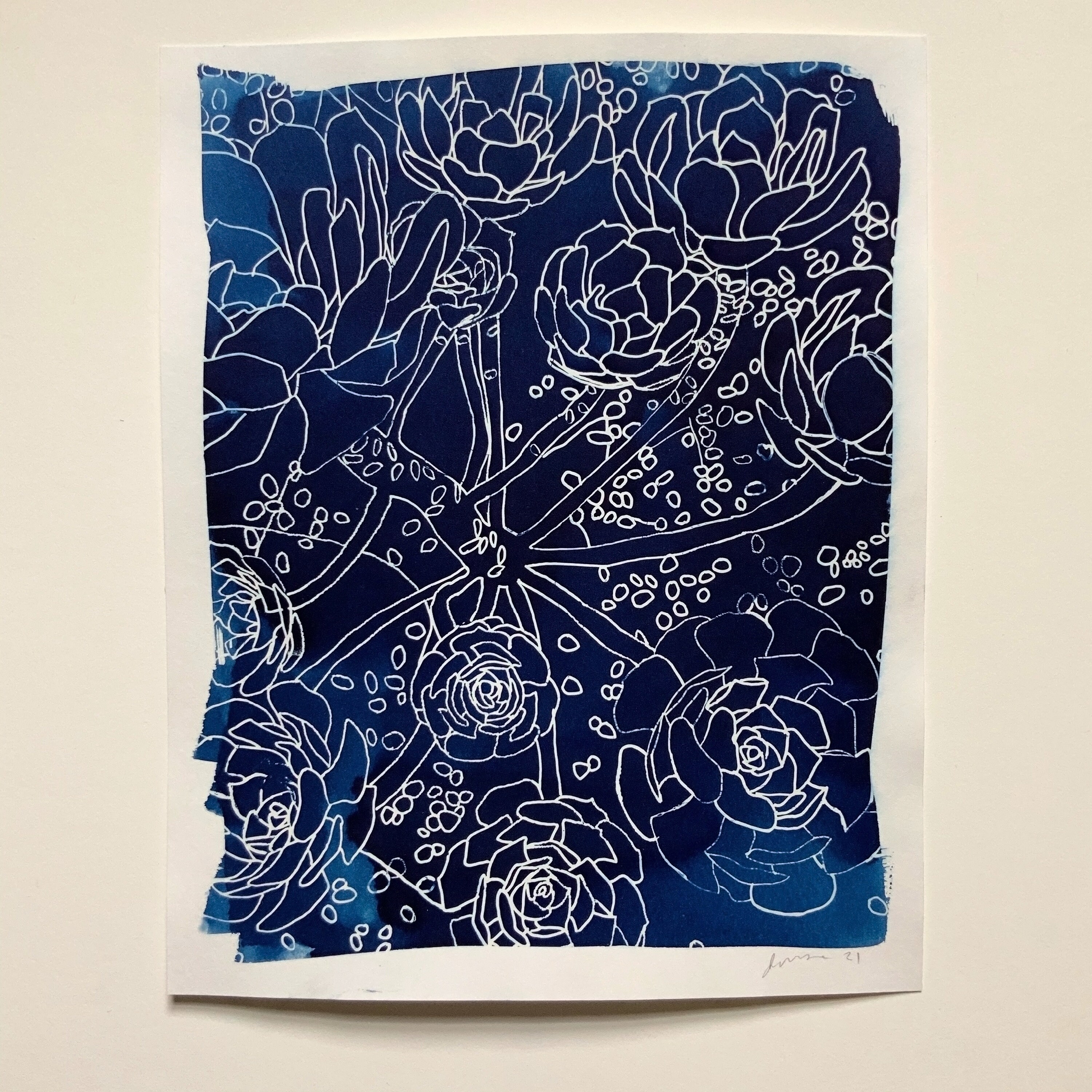 Succulent Cyanotype Print-sun Print Hand Drawn Print 8 - Etsy
