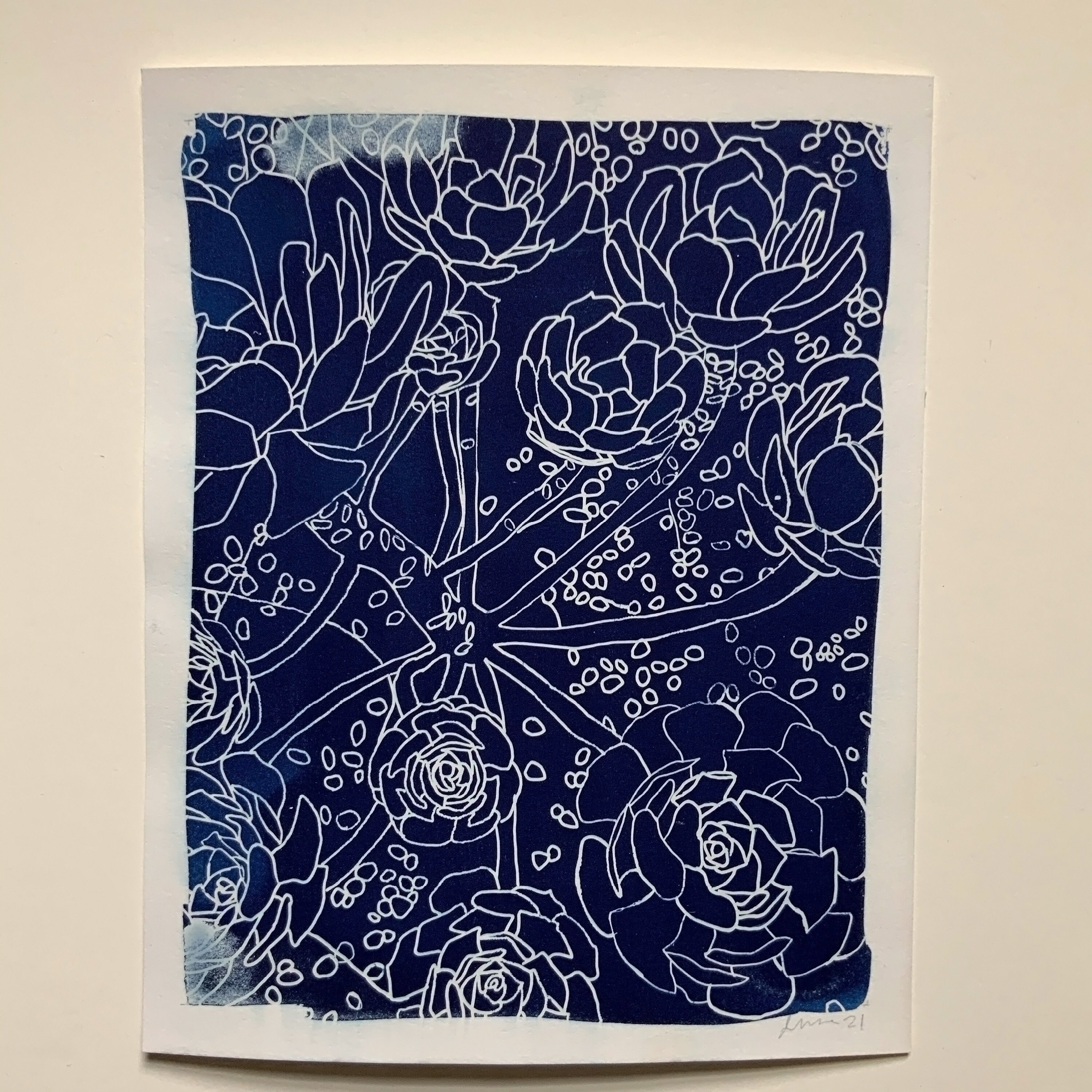 Succulent Cyanotype Print-sun Print Hand Drawn Print 8 - Etsy