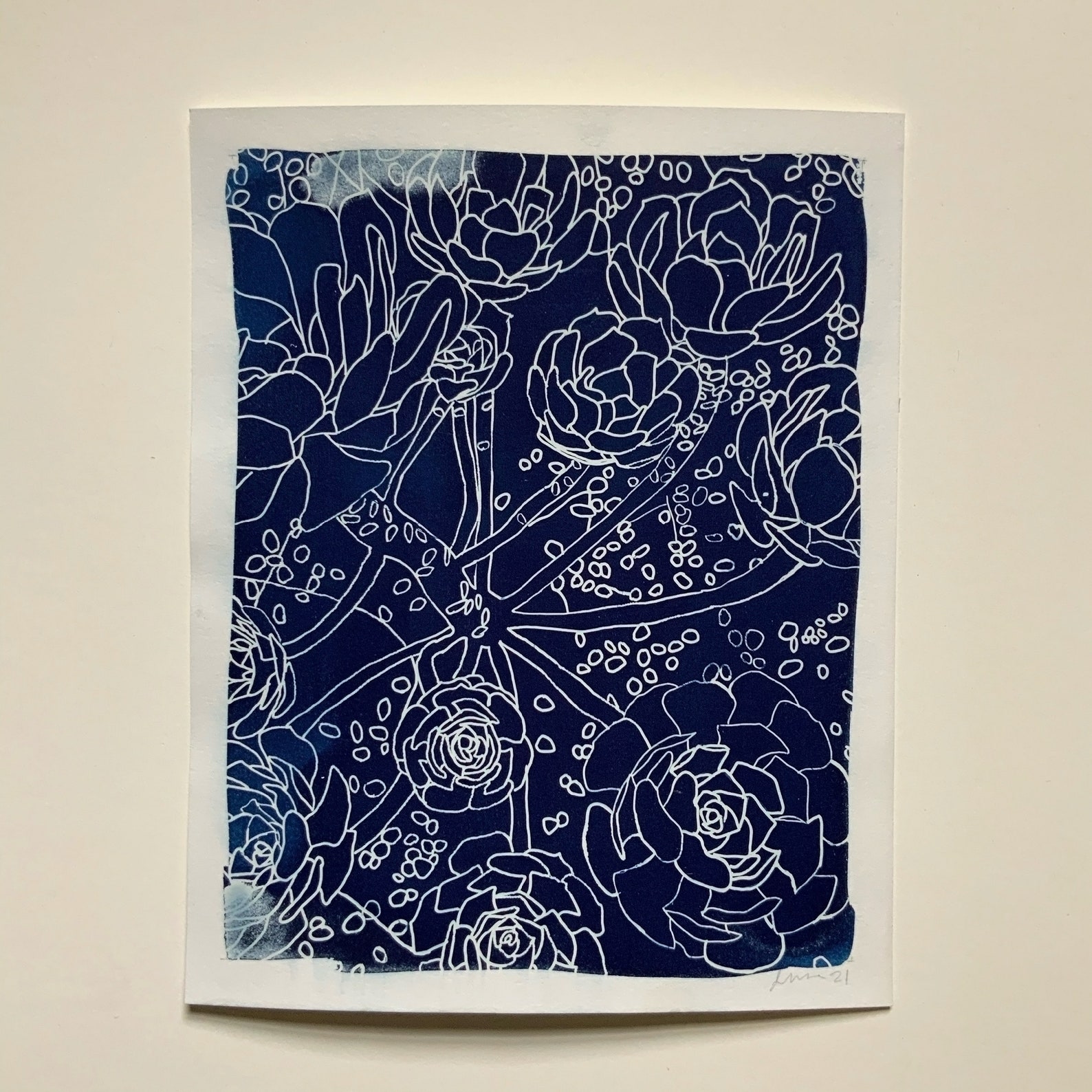 Succulent Cyanotype Print-sun Print Hand Drawn Print 8 - Etsy