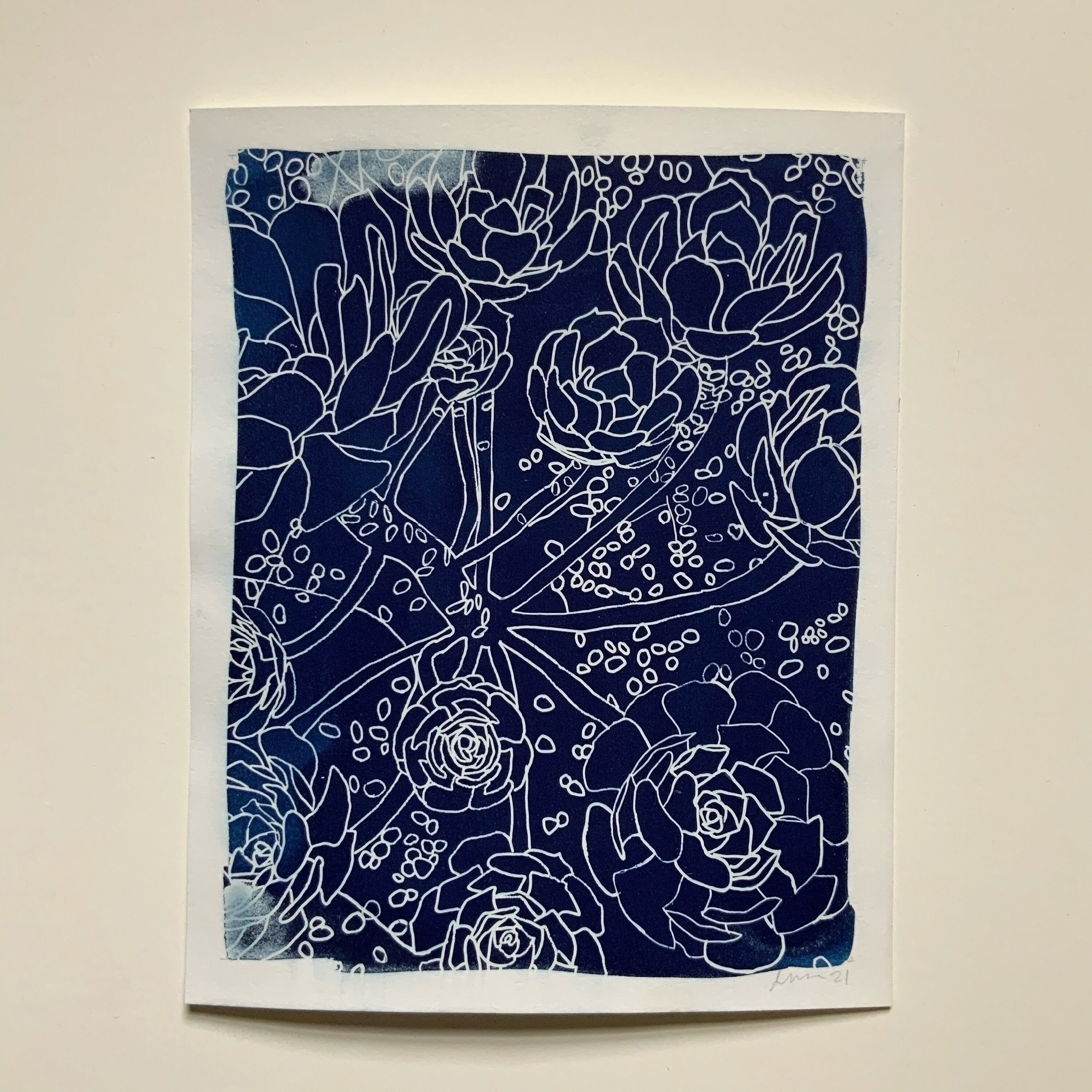Succulent Cyanotype Print-sun Print Hand Drawn Print 8 - Etsy