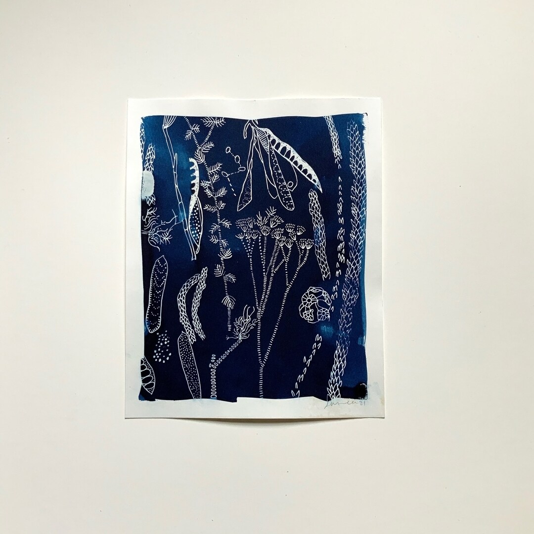 Collection Cyanotype Print-sun print, hand drawn print, 8" x 10 ...