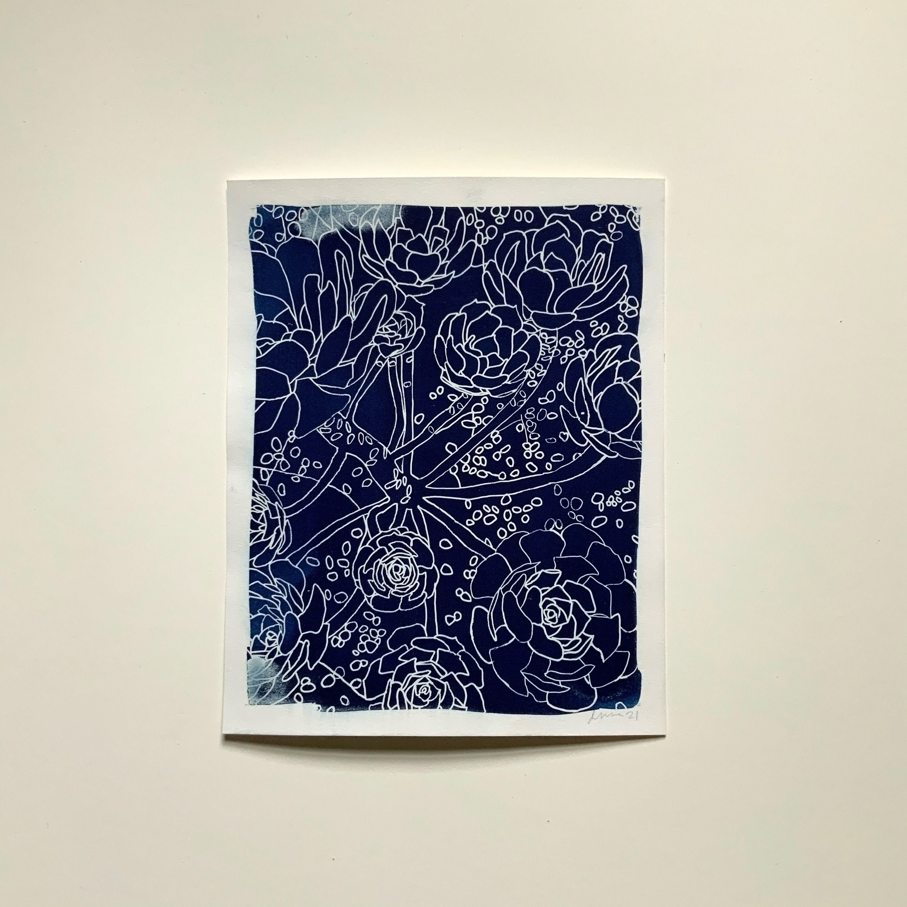 Succulent Cyanotype Print-sun Print Hand Drawn Print 8 - Etsy