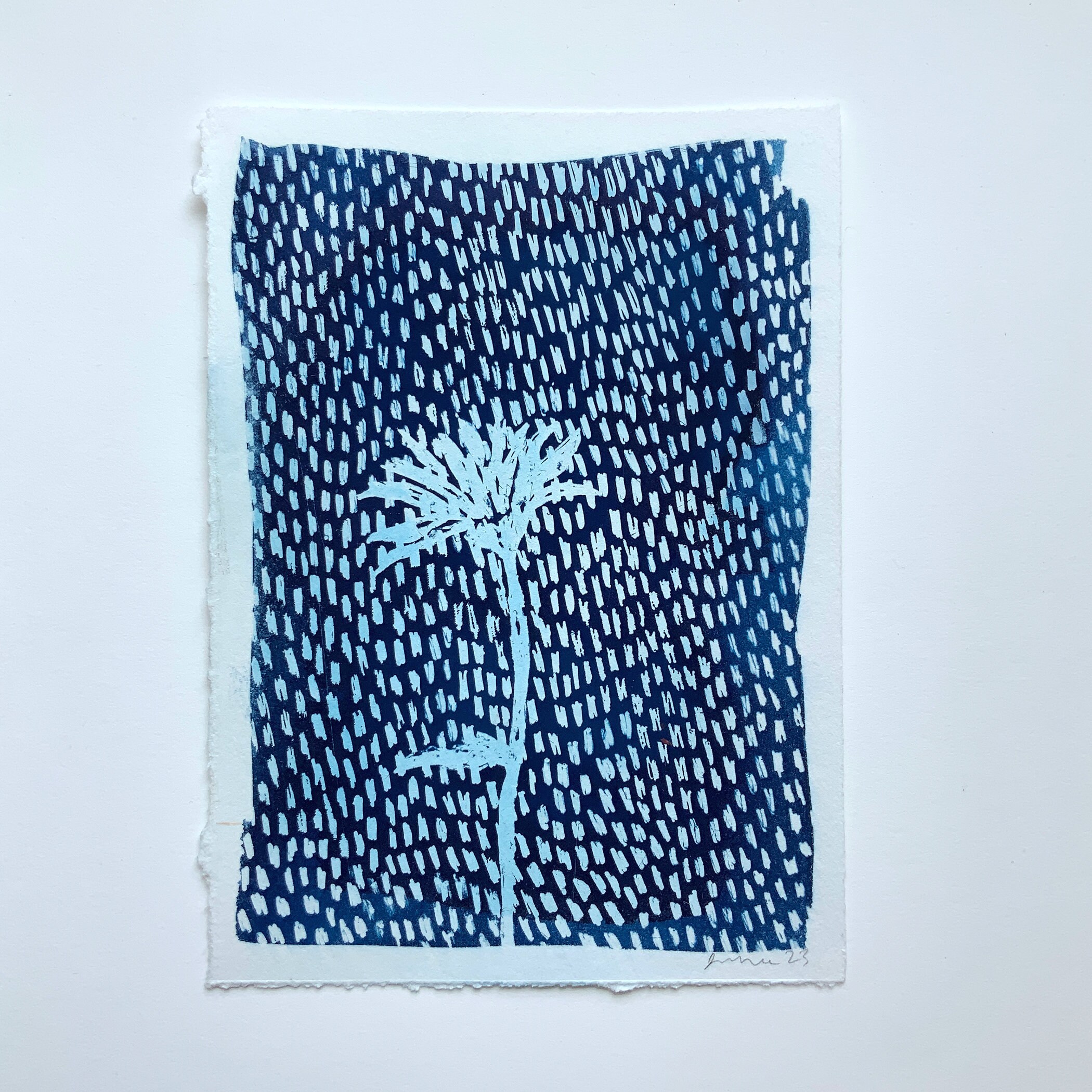 Daisy Cyanotype Print-cyanotype Print-sun Print, Hand Drawn Print, 5"x7 ...