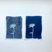Daisy Cyanotype Print-cyanotype Print-sun Print, Hand Drawn Print, 5"x7 ...