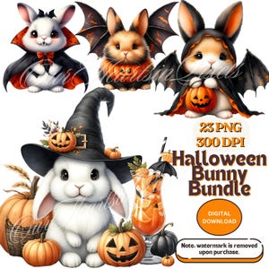 Adorable Halloween Bunny Clipart 23 PNG 300 DPI Kawaii Spooky Bunny in ...