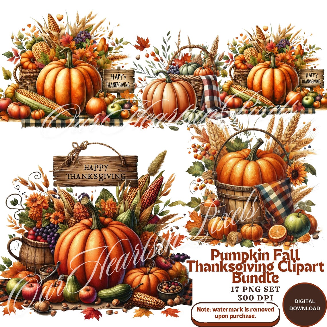 Pumpkin Fall Thanksgiving Clipart Bundle 17 PNG Watercolor Pumpkin ...