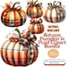 Autumn Harvest Pumpkin in Plaid Clipart Bundle 16 PNG 300DPI Autumnal ...