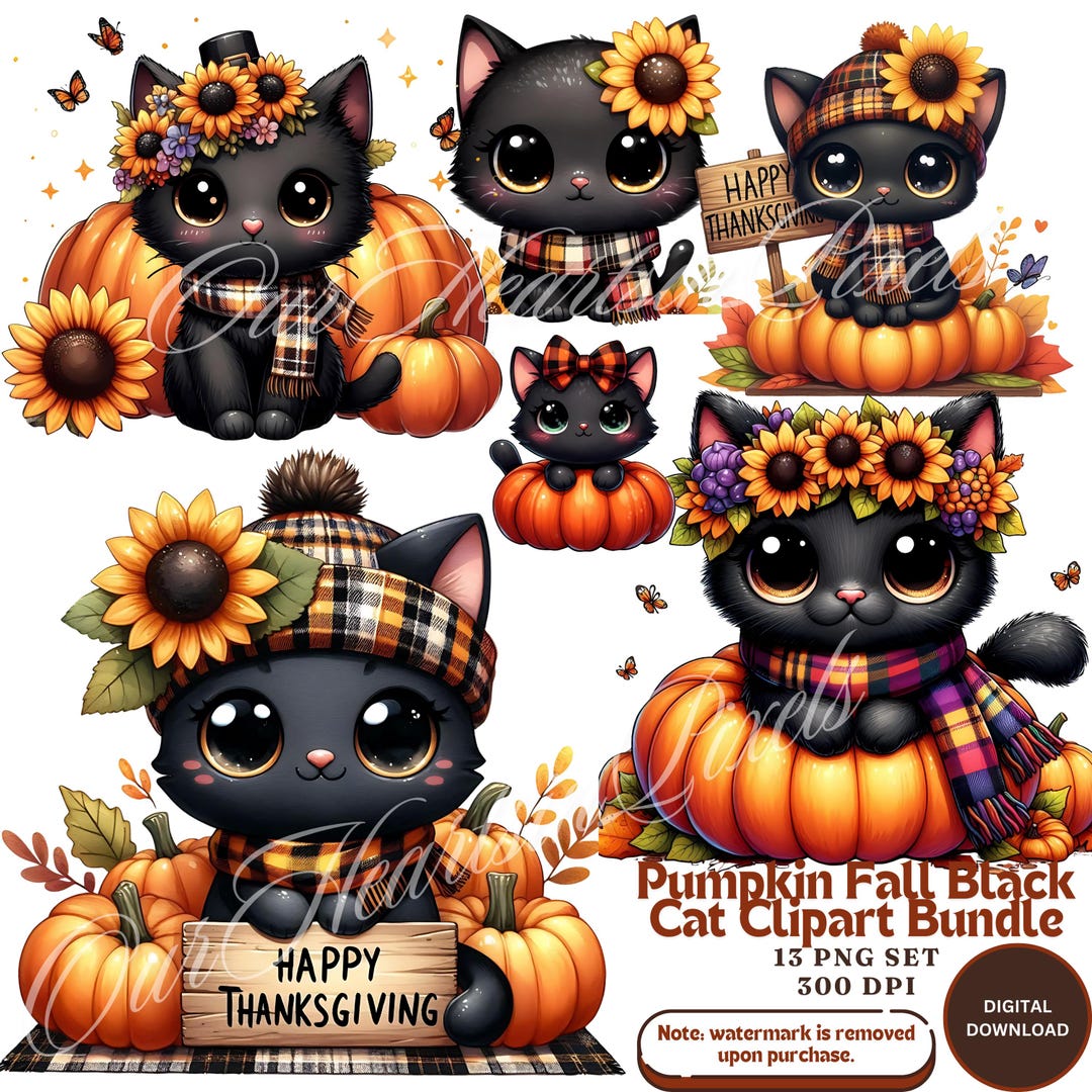 Fall Pumpkin With Kawaii Black Cat PNG Thanksgiving Autumn Fall Clipart ...