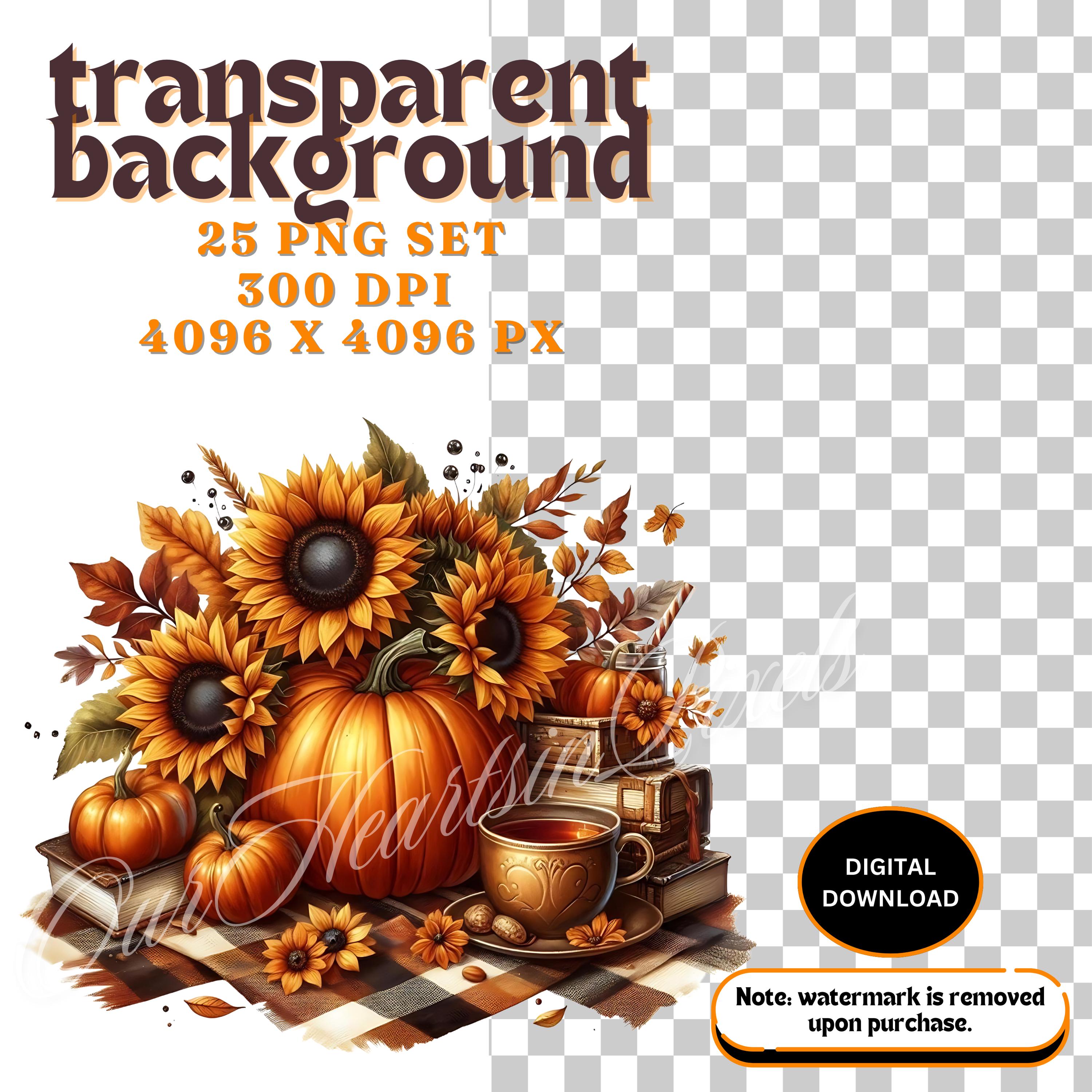Autumn Pumpkin Clipart Set With Sunflower | 25 PNG Fall Clipart ...