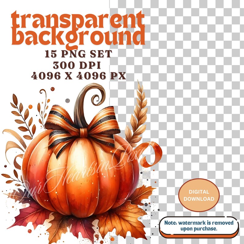 Autumn Fall Pumpkin Clipart Bundle 15 PNG 300 DPI Autumnal Clipart ...