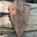 Skull Mount Plaque - Etsy