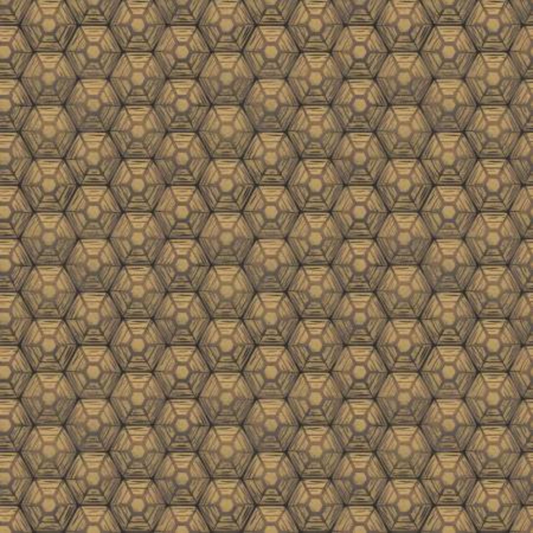 Turtle Shell, Brown Turtle Shell, River Romp, by Sharon Kuplack, for ...