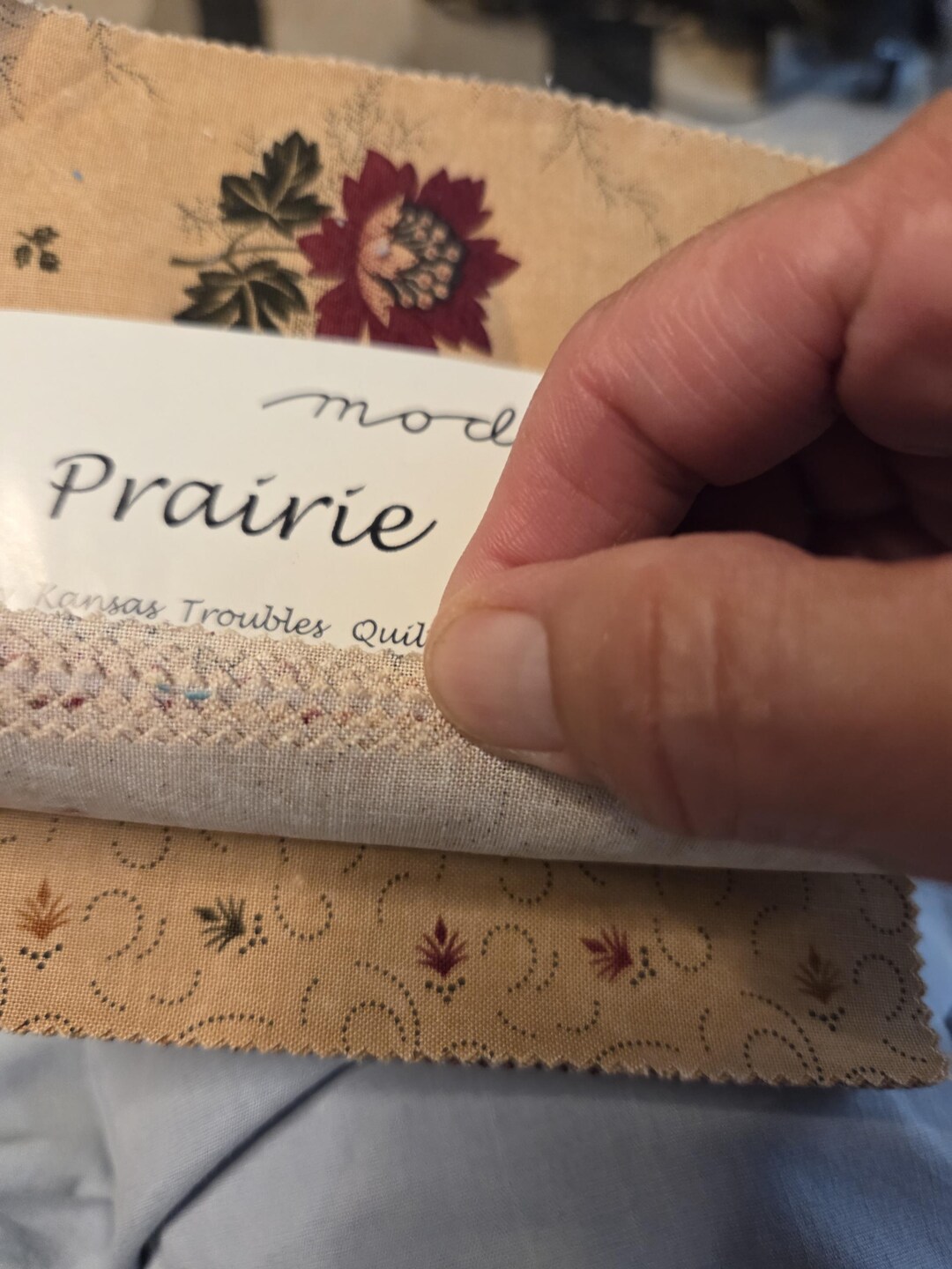 Charm Pack Prairie Cactus From Kansas Troubles for Moda.oop - Etsy