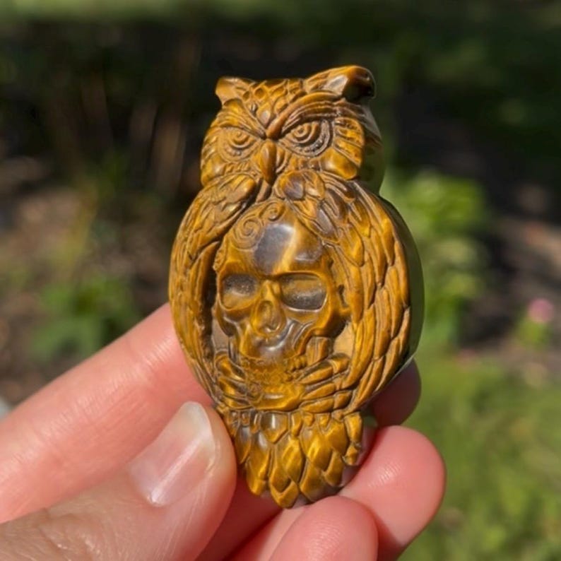 Tiger’s Eye Owls on Skulls, Flashy Tiger’s Eye Crystal Carving - Etsy