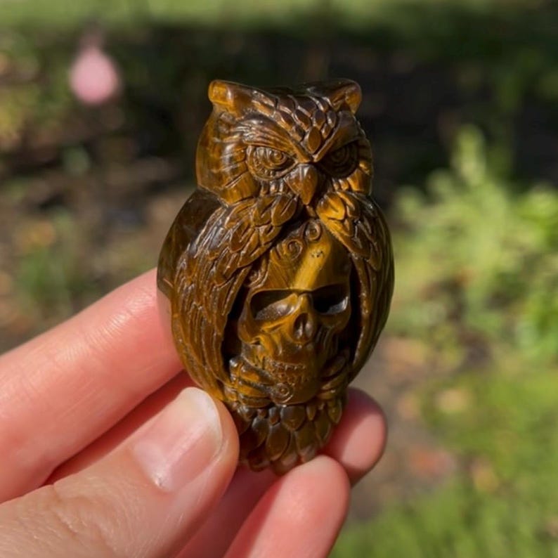 Tiger’s Eye Owls on Skulls, Flashy Tiger’s Eye Crystal Carving - Etsy