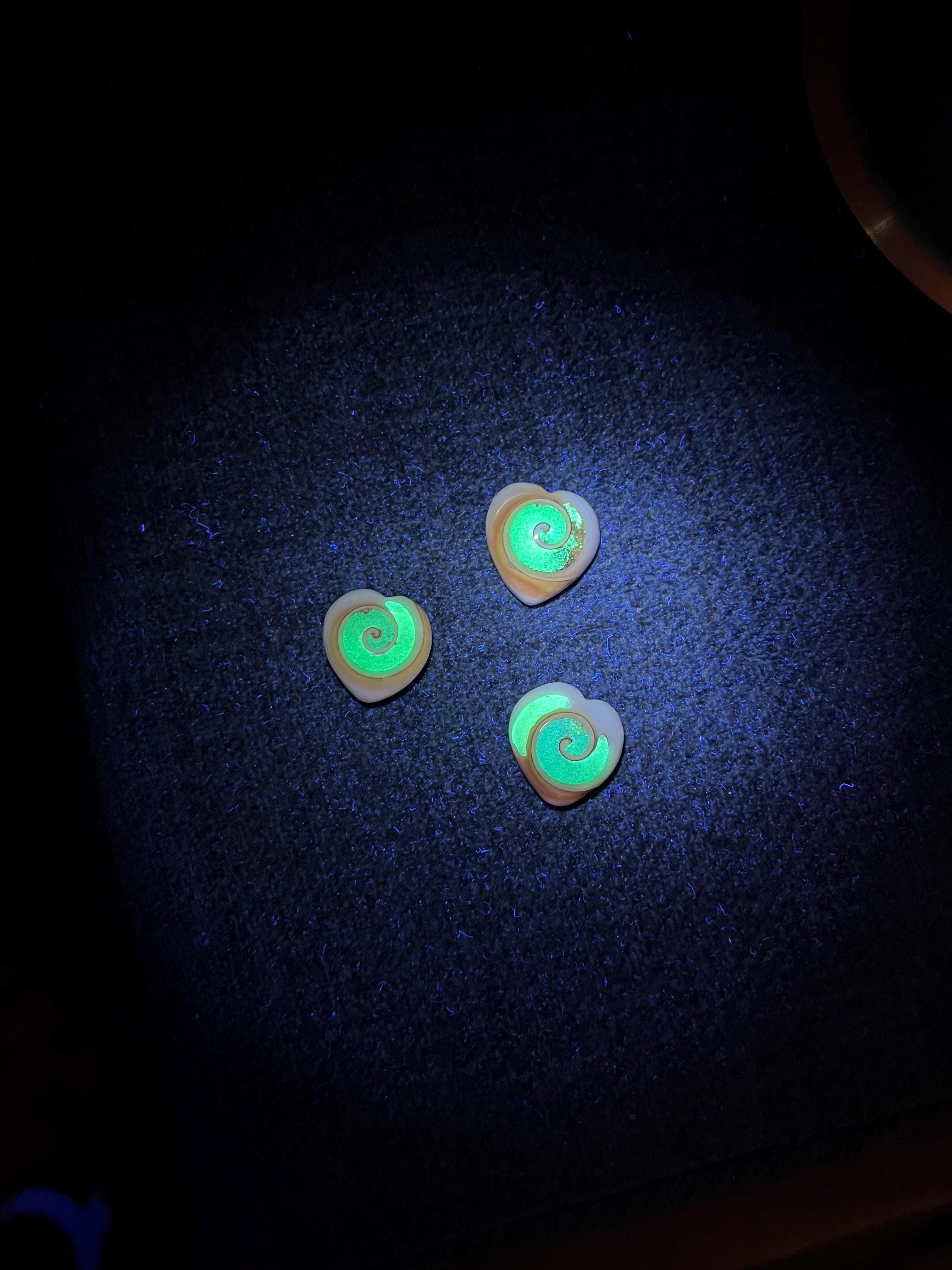 UV Reactive Green Shiva Shell Snail Fossil Heart Cabochon - Etsy