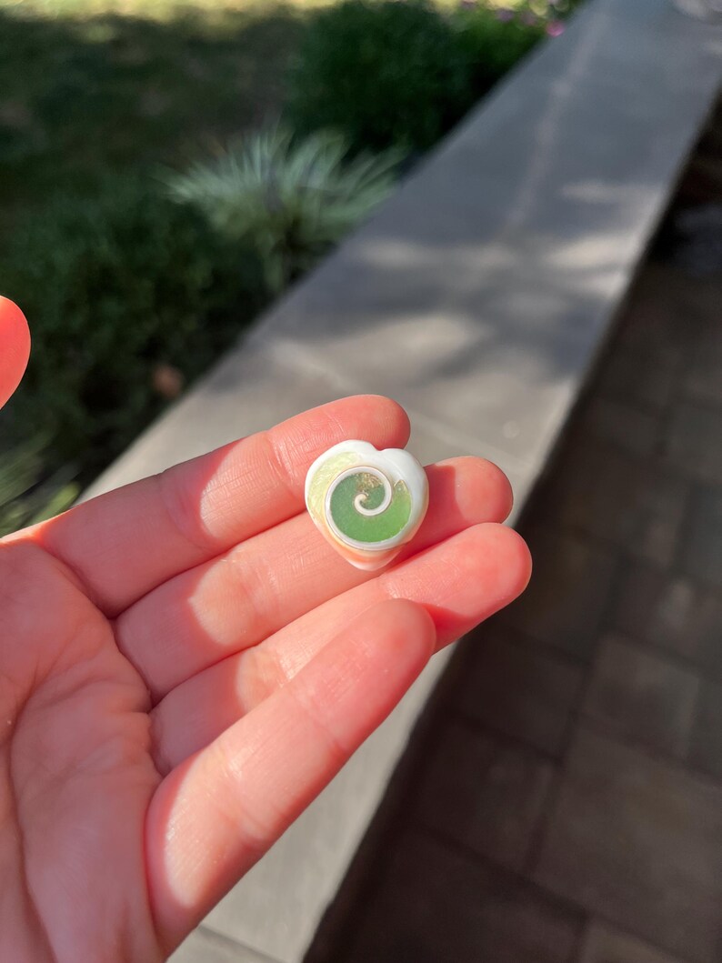 UV Reactive Green Shiva Shell Snail Fossil Heart Cabochon - Etsy