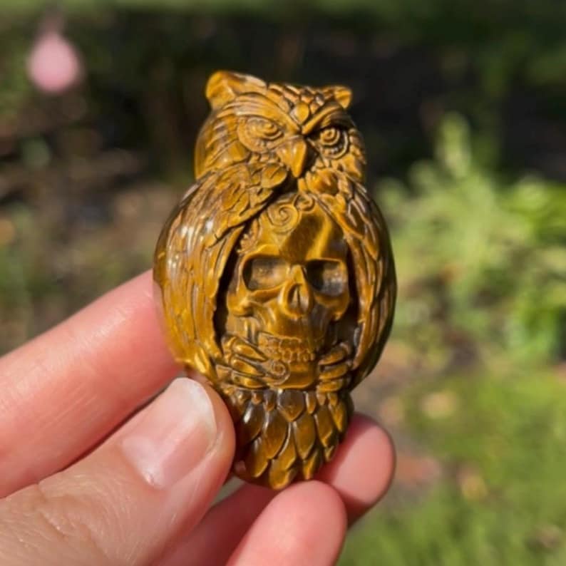 Tiger’s Eye Owls on Skulls, Flashy Tiger’s Eye Crystal Carving - Etsy