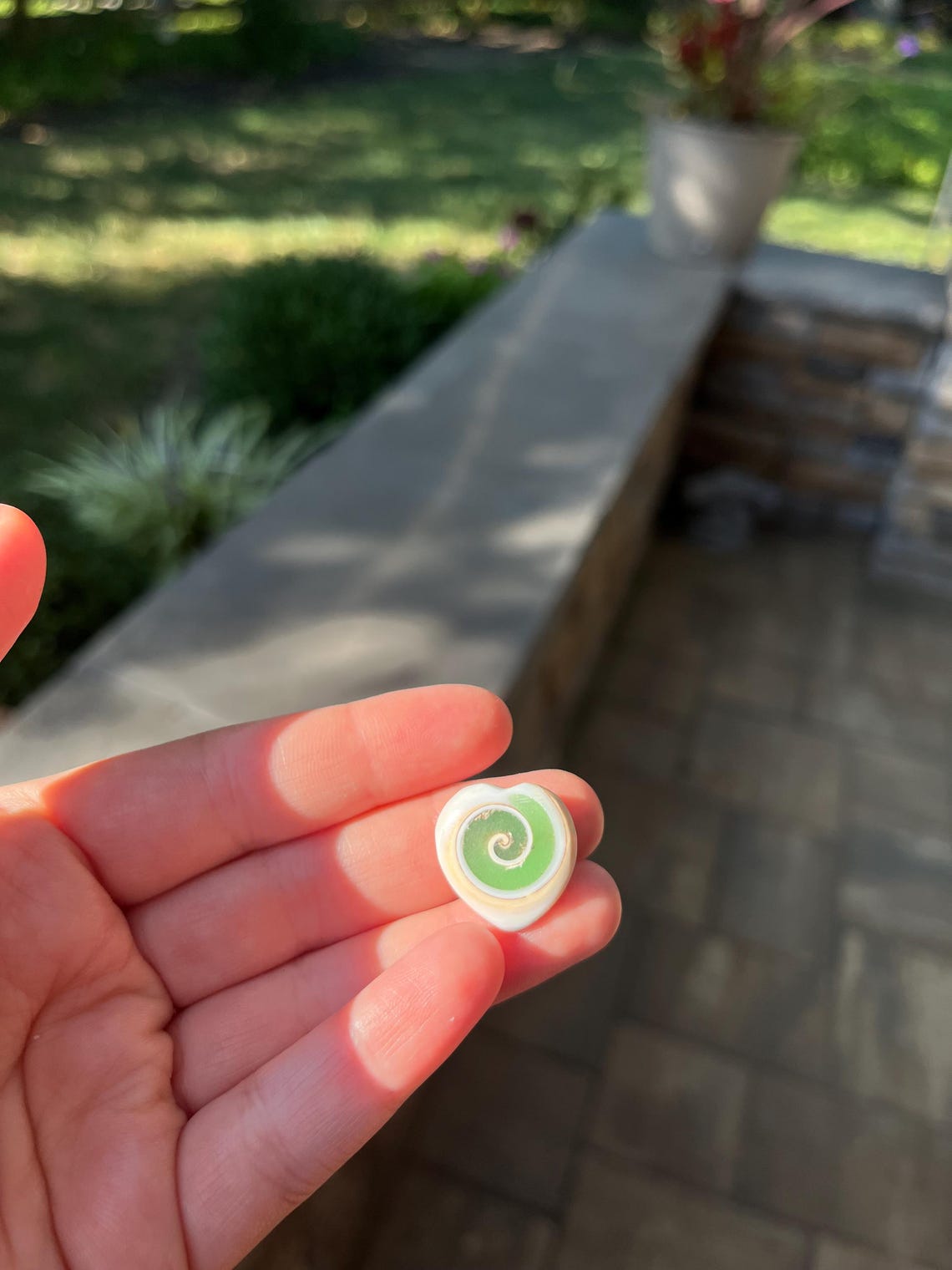 UV Reactive Green Shiva Shell Snail Fossil Heart Cabochon - Etsy