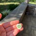 UV Reactive Green Shiva Shell Snail Fossil Heart Cabochon - Etsy