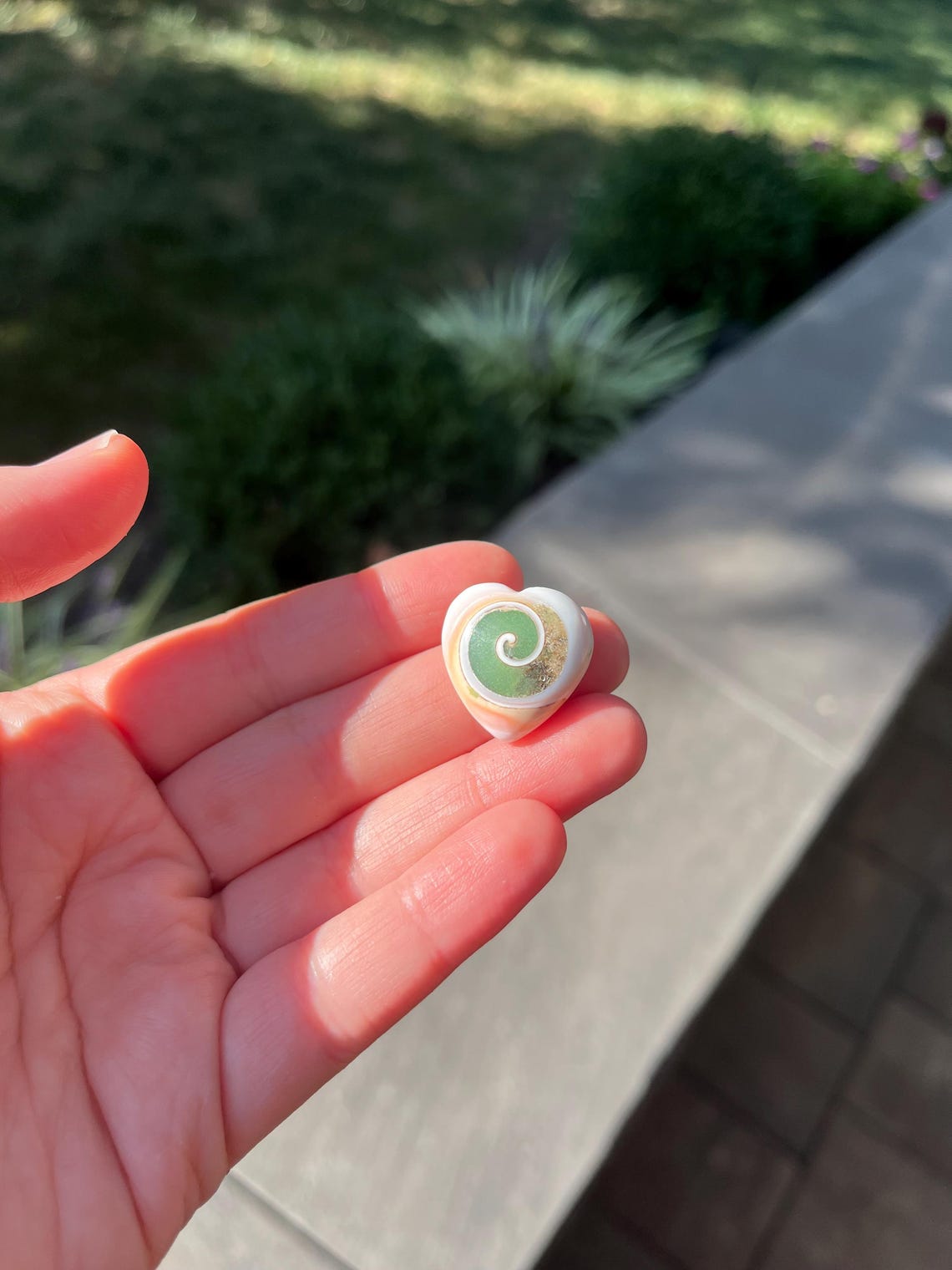 UV Reactive Green Shiva Shell Snail Fossil Heart Cabochon - Etsy