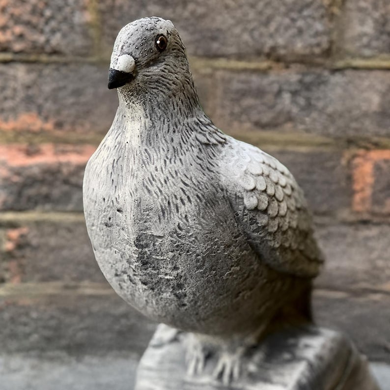 Outdoor Dove Statue Concrete Pigeon Sculpture Stone Bird Decoration ...
