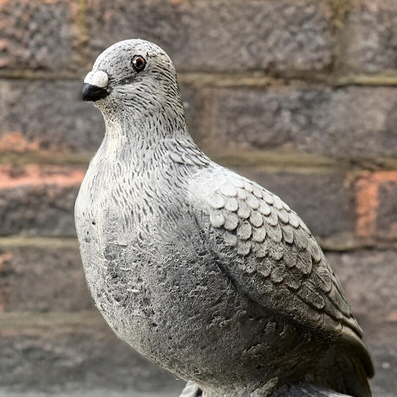 Outdoor Dove Statue Concrete Pigeon Sculpture Stone Bird Decoration ...